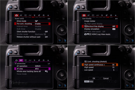 Review of the Canon EOS R5 Mark II: Is It Worth the Upgrade? | Fstoppers