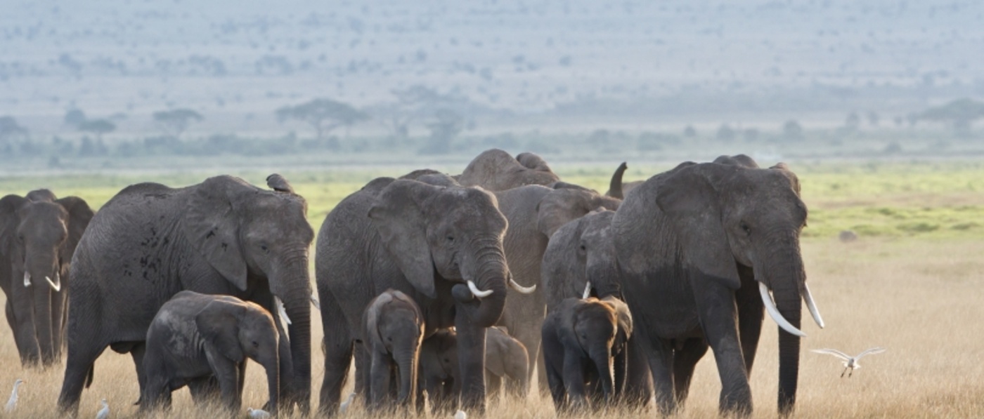 Robert Unsworth on Fstoppers