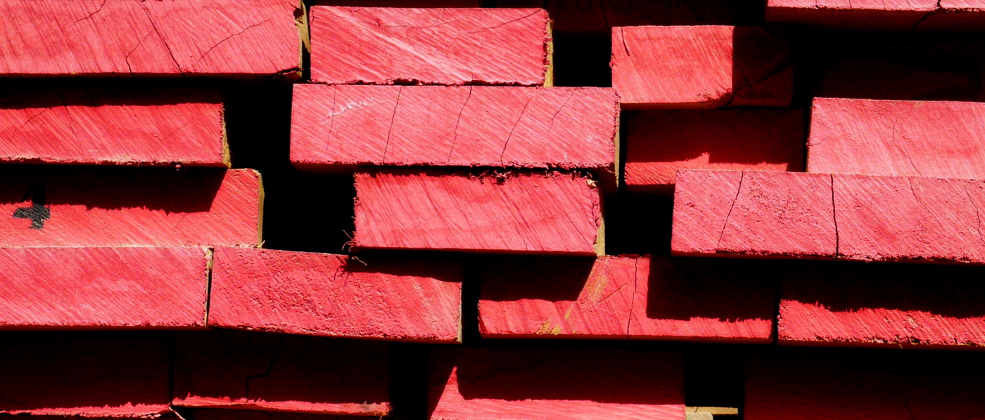 Savvas Stavrinos on Fstoppers