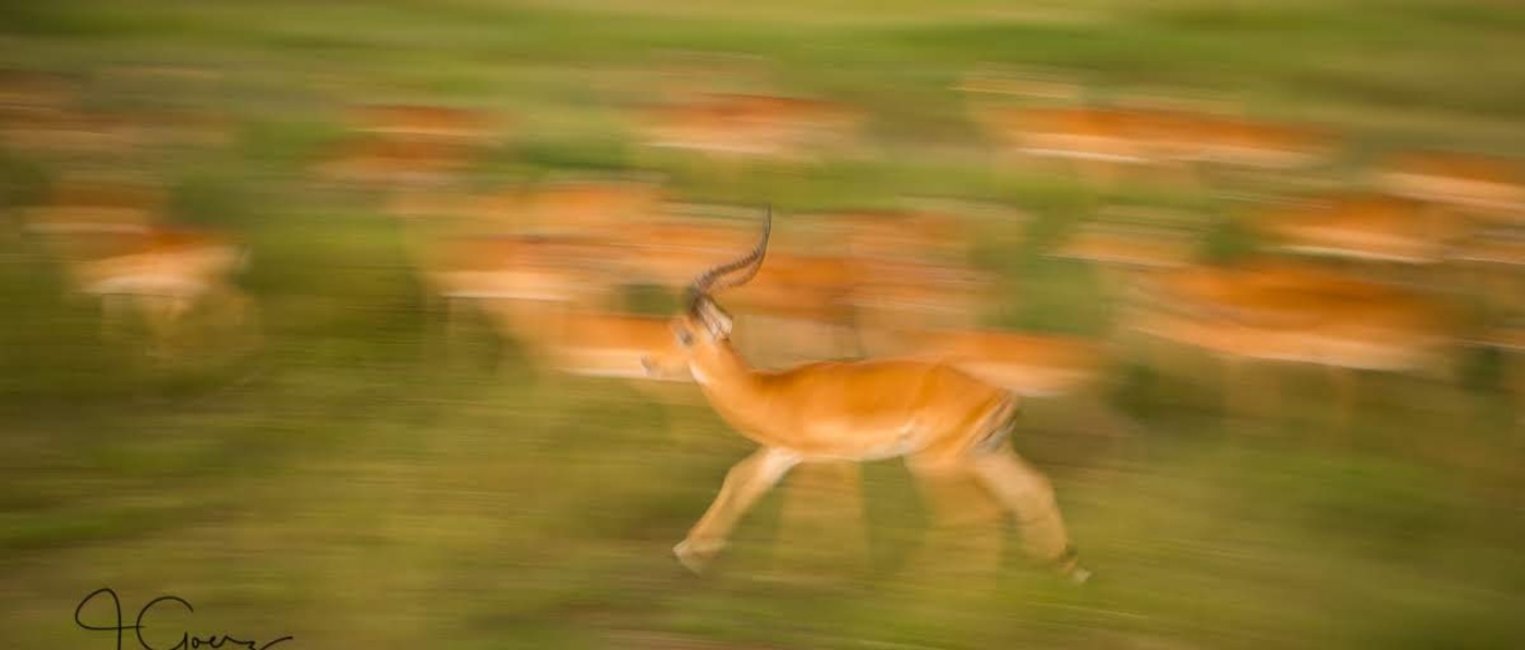 Tim Goerz on Fstoppers