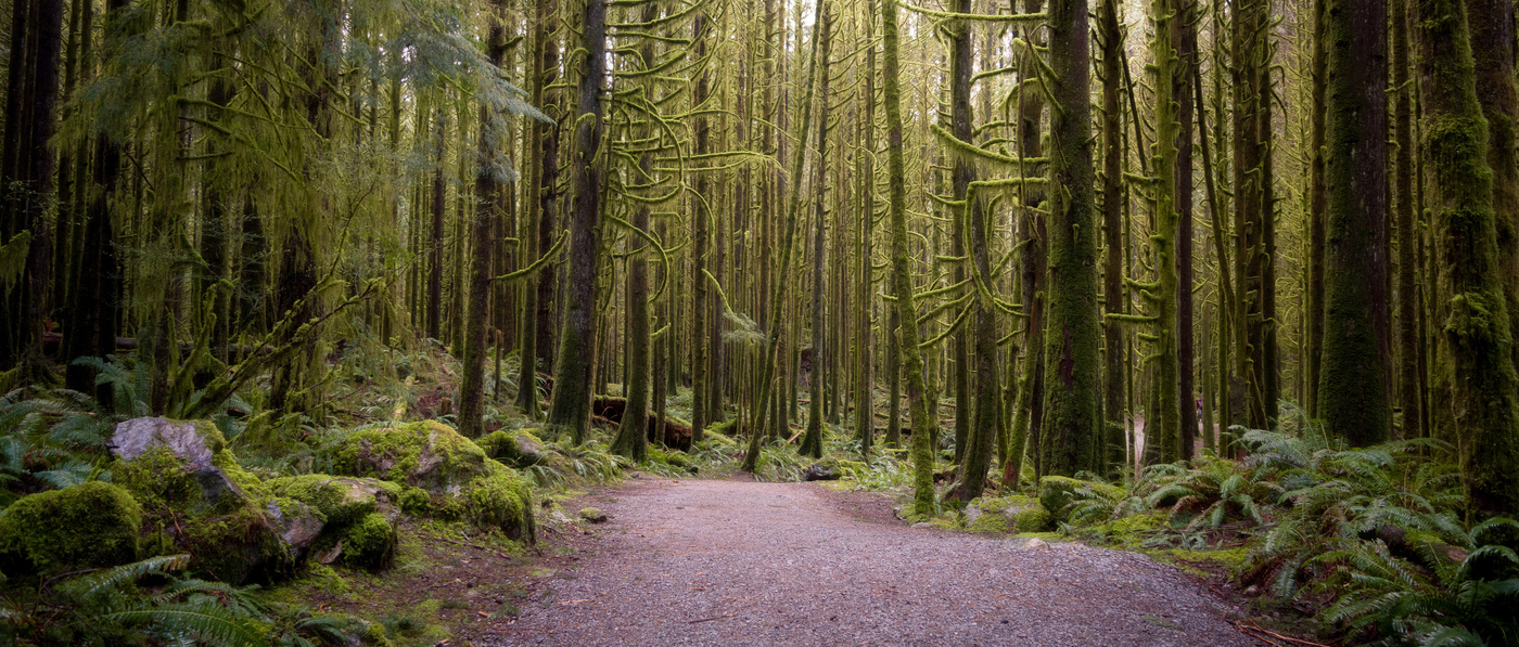 Jacob Mattson on Fstoppers