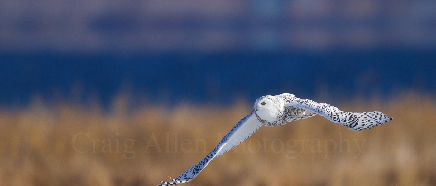 Craig Allen on Fstoppers