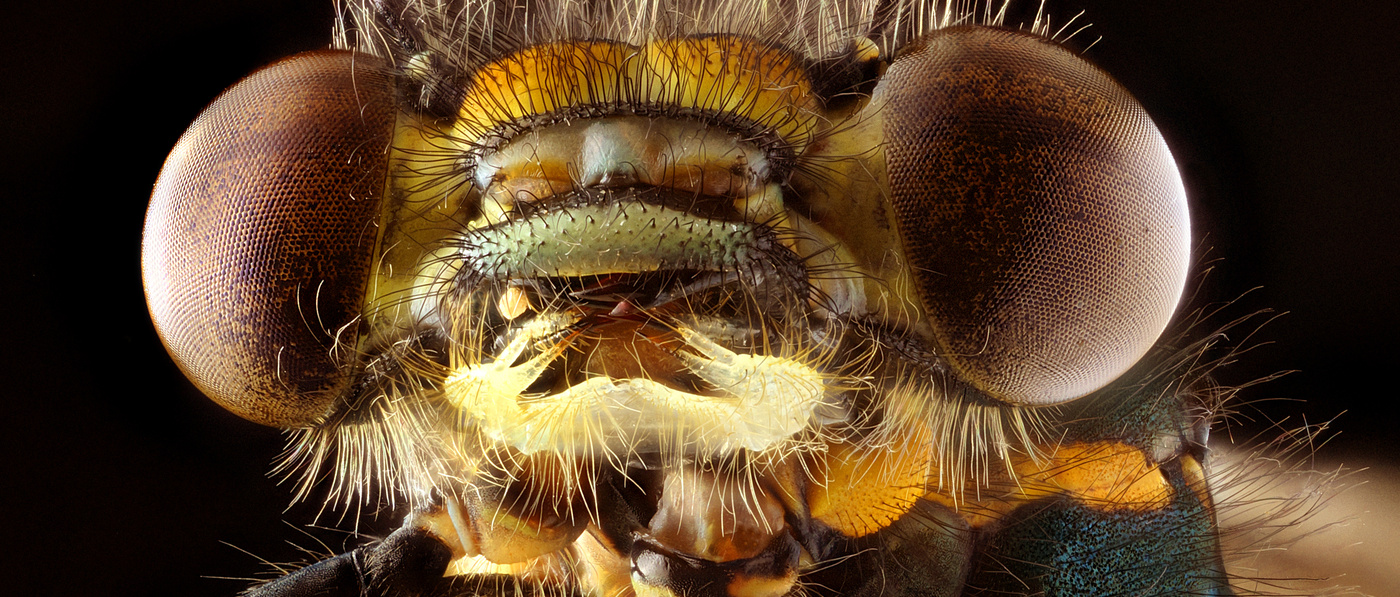 mike turtle on Fstoppers