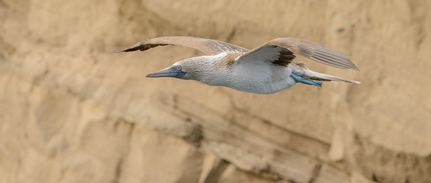 Scott Flaherty on Fstoppers