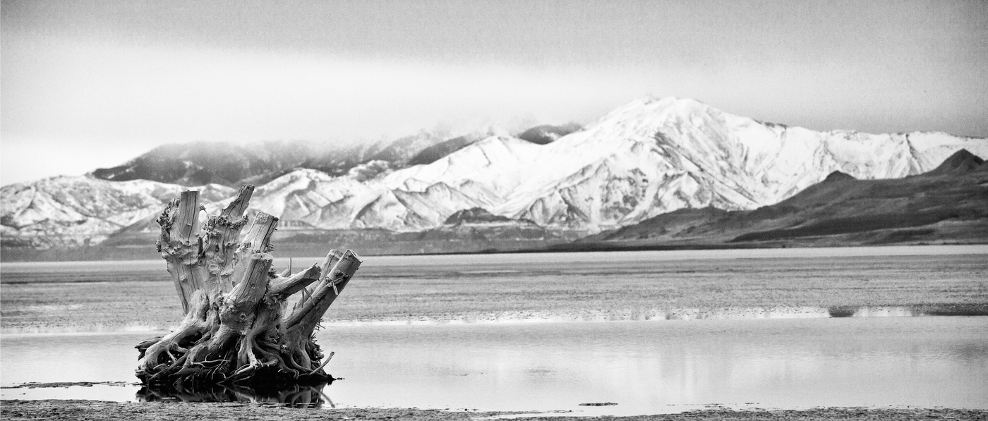 Tim Pumphrey on Fstoppers