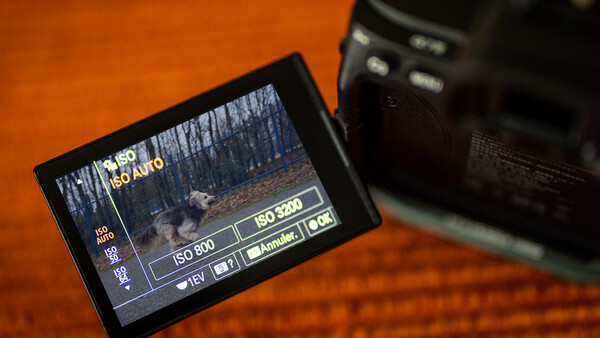 How to Use the Auto ISO Setting in the Best Possible Way | Fstoppers