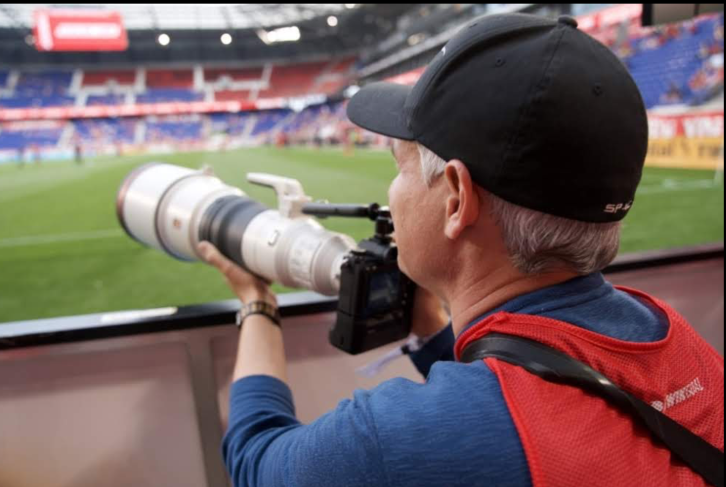 Incredible Bird Photography With the Sony 600mm f/4 GM and a7R IV ...