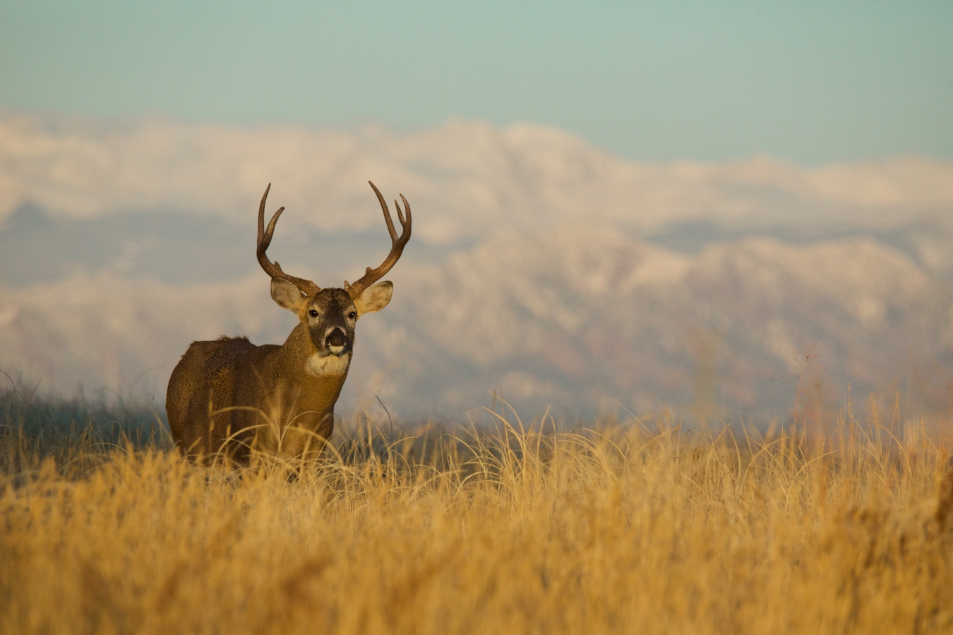 Is It Time To Pivot in Your Creative Career? | Fstoppers