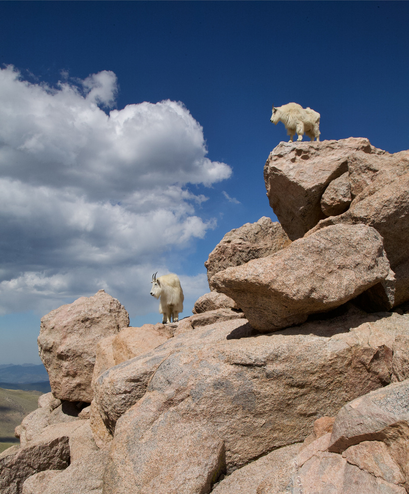 Visual Weight: Why Do So Many Photographers Overlook Its Importance ...