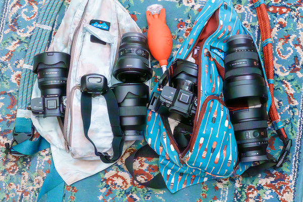 The 5 Camera Accessories Every Photographer Actually Uses (And a Few ...