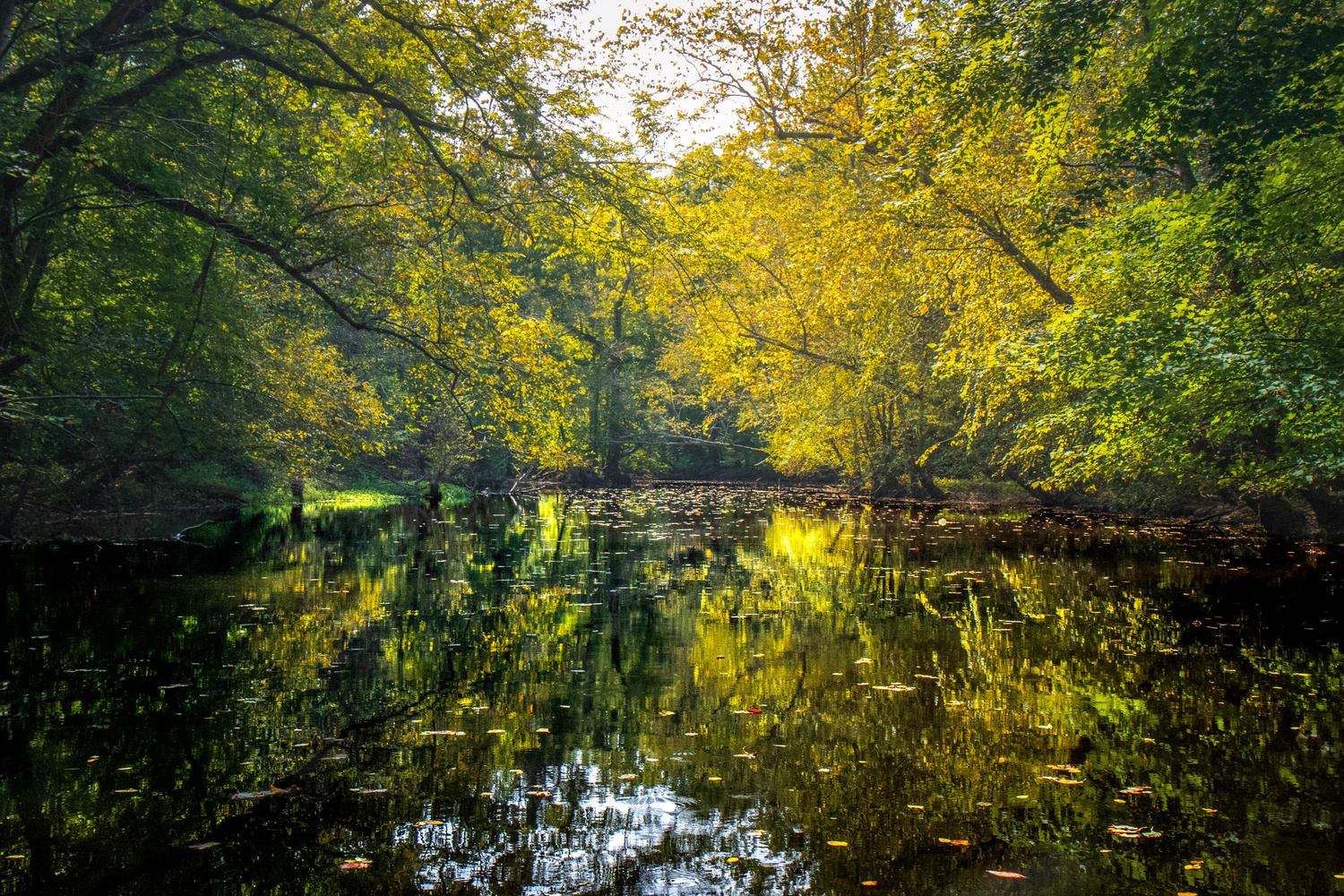 What Is Humble Photography, and How Can It Change the Way You Shoot ...