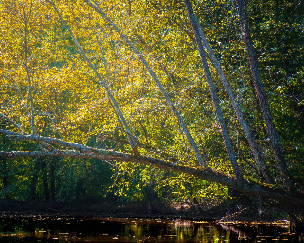 What Is Humble Photography, and How Can It Change the Way You Shoot ...