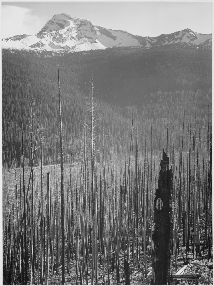 The Department of Interior Lists Job for a New Ansel Adams | Fstoppers