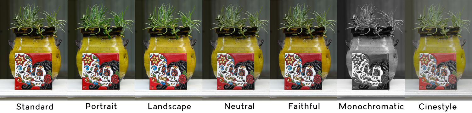 Demystifying Camera Picture Profiles | Fstoppers