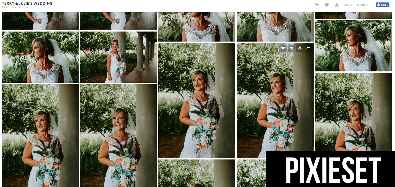Three Lessons ShootProof Can Learn From Pixieset | Fstoppers