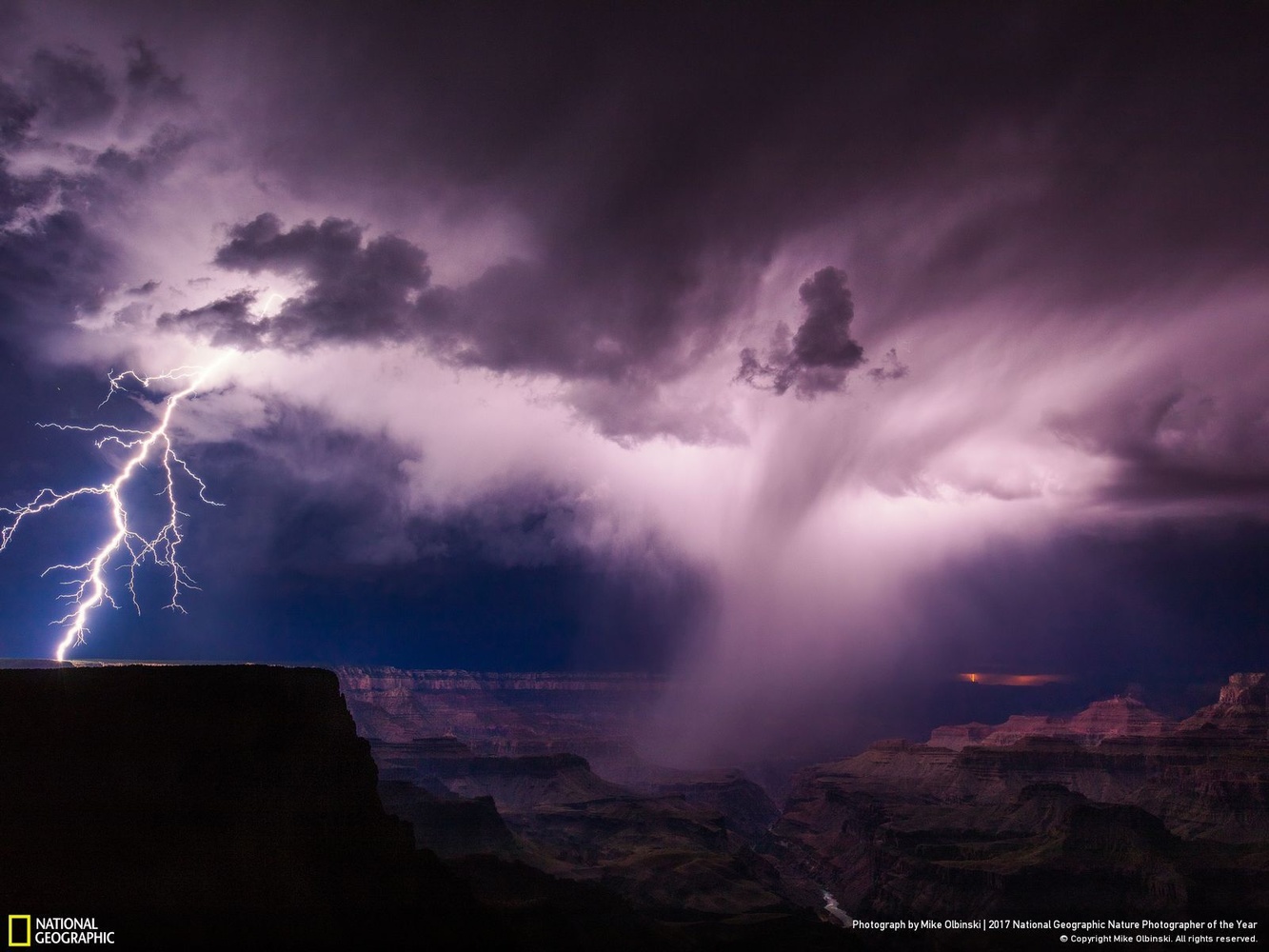 National Geographic’s Nature Photographer of the Year | Fstoppers