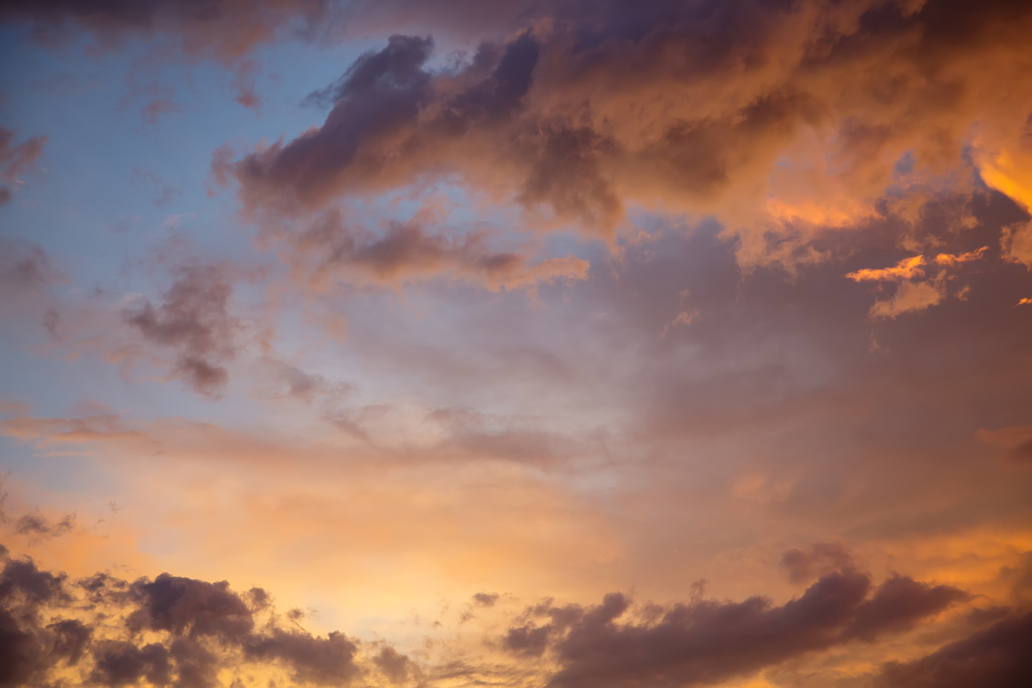 Transform Your Existing Images With The Help Of Adobe Stock Fstoppers