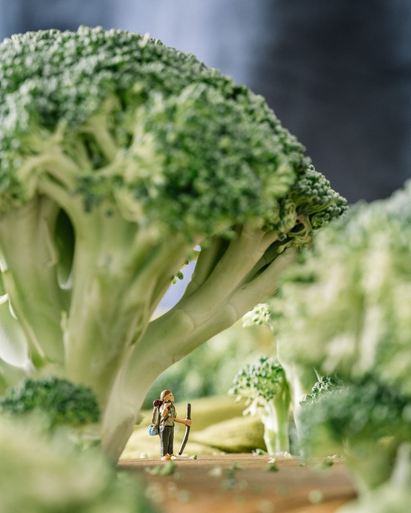 Travel Photographer Uses Food and Everyday Objects to Create 'Outdoor ...