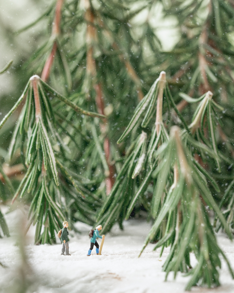 Travel Photographer Uses Food and Everyday Objects to Create 'Outdoor ...