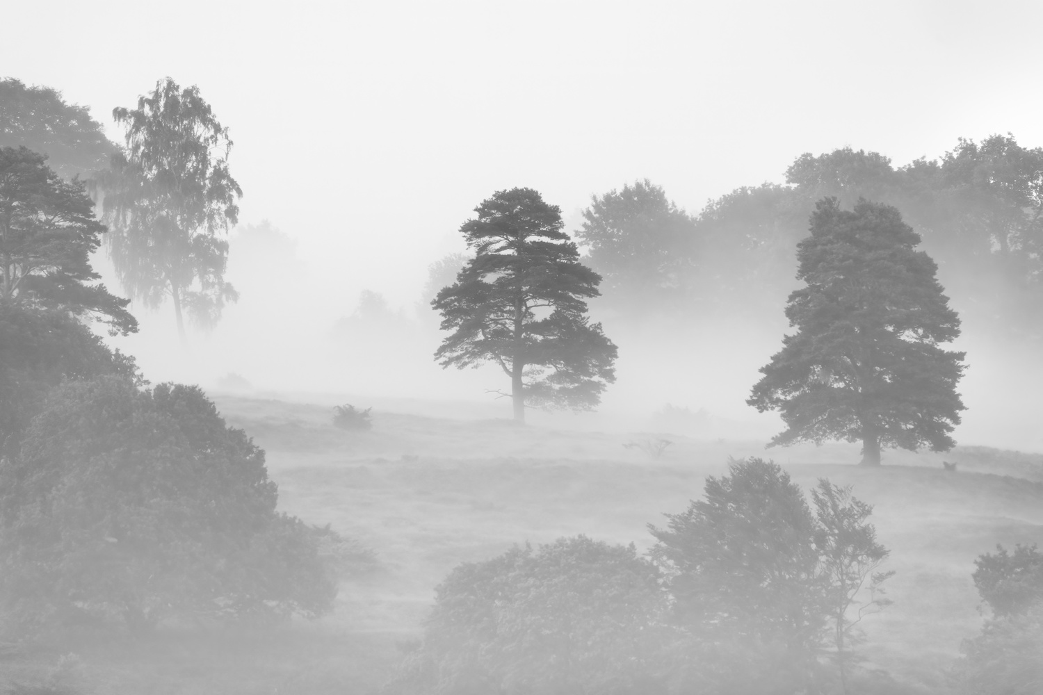 How to Take Amazing Landscape Photos When You Live in a “Boring ...