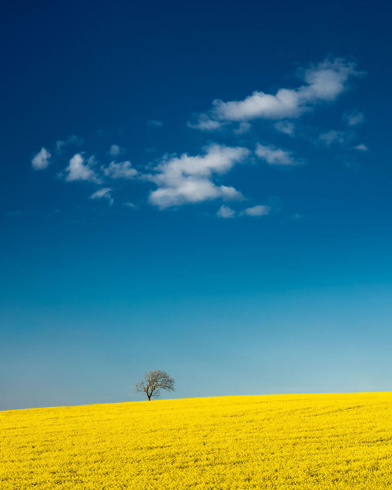 How to Take Amazing Landscape Photos When You Live in a “Boring ...