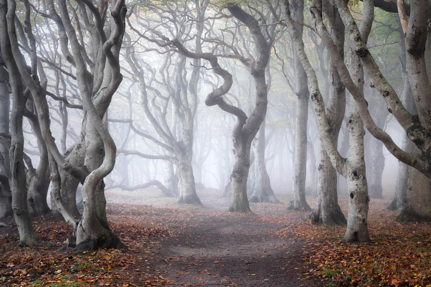 Why Denmark Is the Fantastic Landscape Photography Country You Will ...