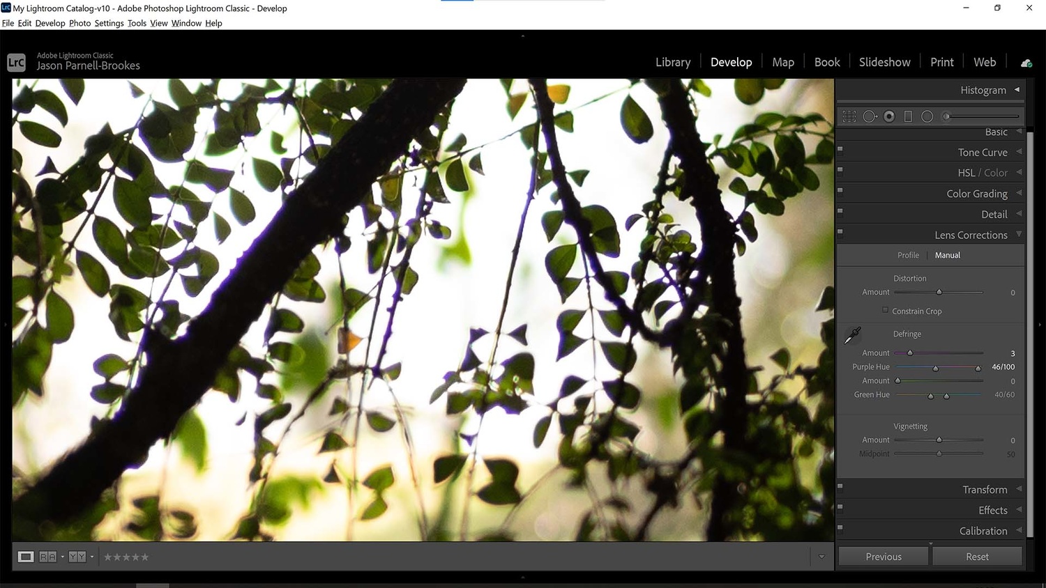 How to Remove Color Fringing Manually in Lightroom | Fstoppers