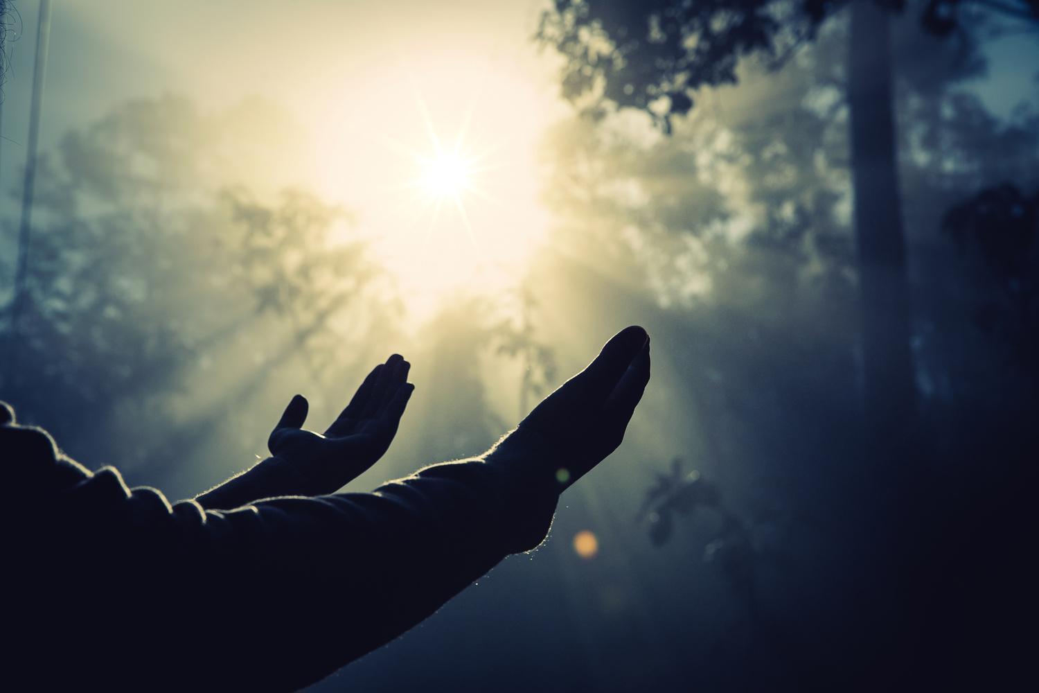 The Powerful Benefits of Photography for Mental and Physical Health ...