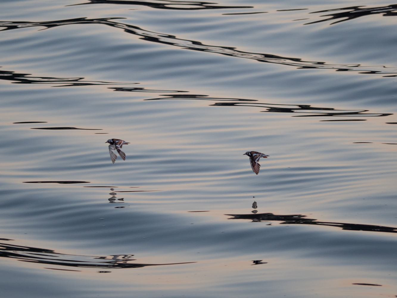 Why Embracing Abstract Photography Will Improve All Your Images and How ...