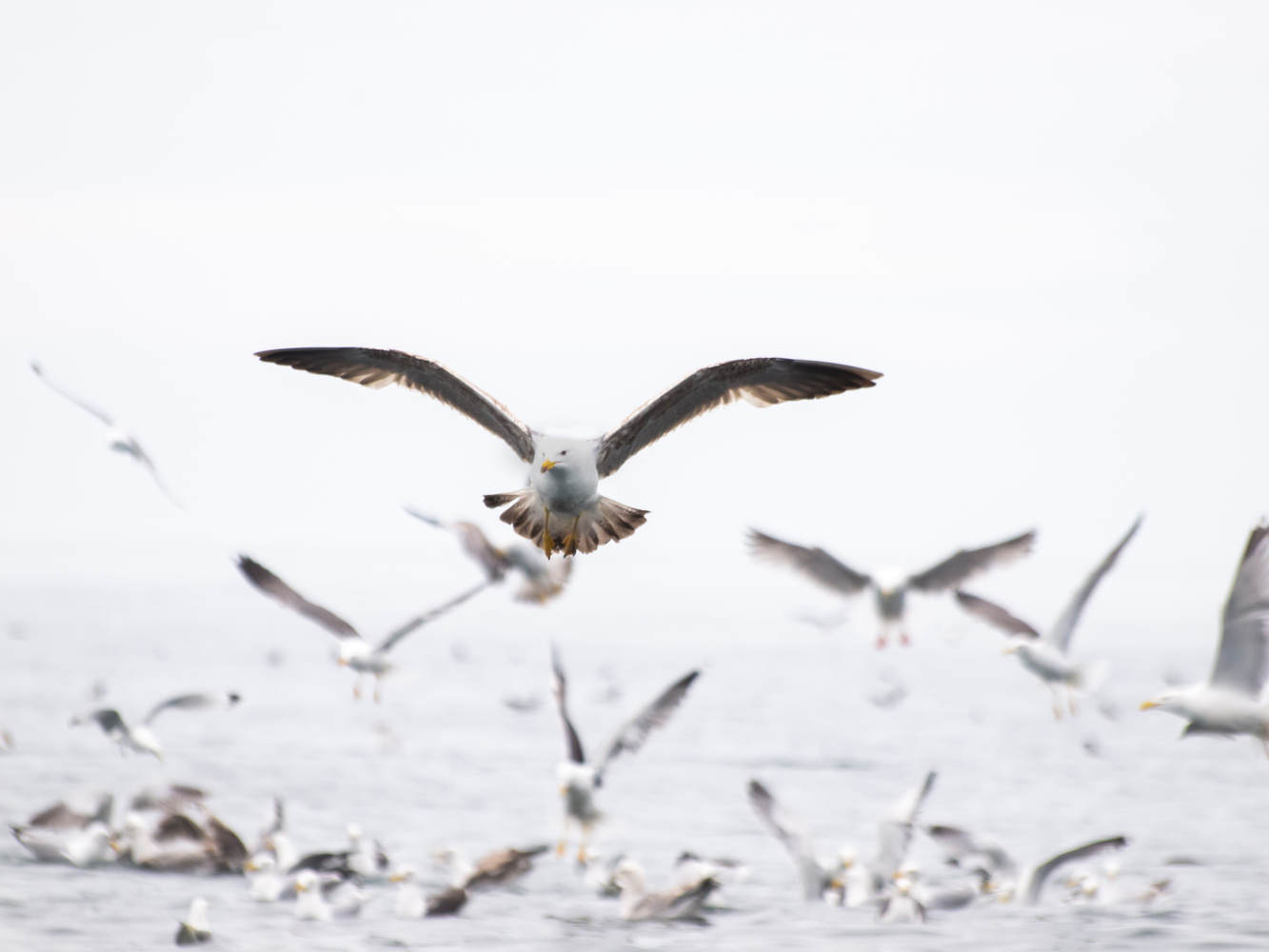 Visual Weight: Why Do So Many Photographers Overlook Its Importance ...