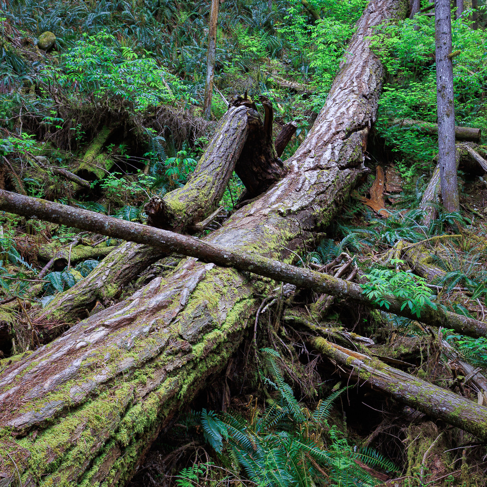 Sustaining Your Growth After a Photography Workshop | Fstoppers