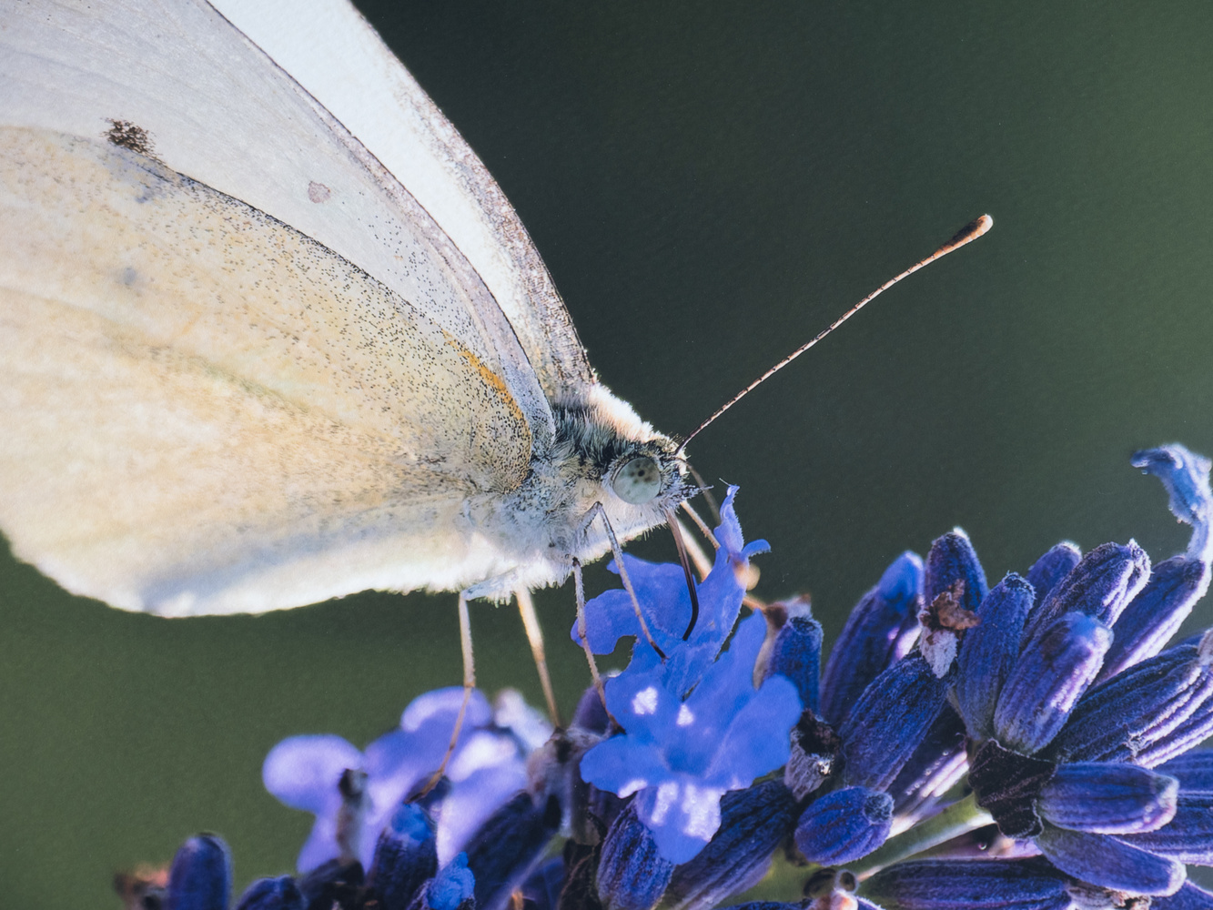 Rediscover Your Photography Mojo and Learn to Print with Fotospeed ...
