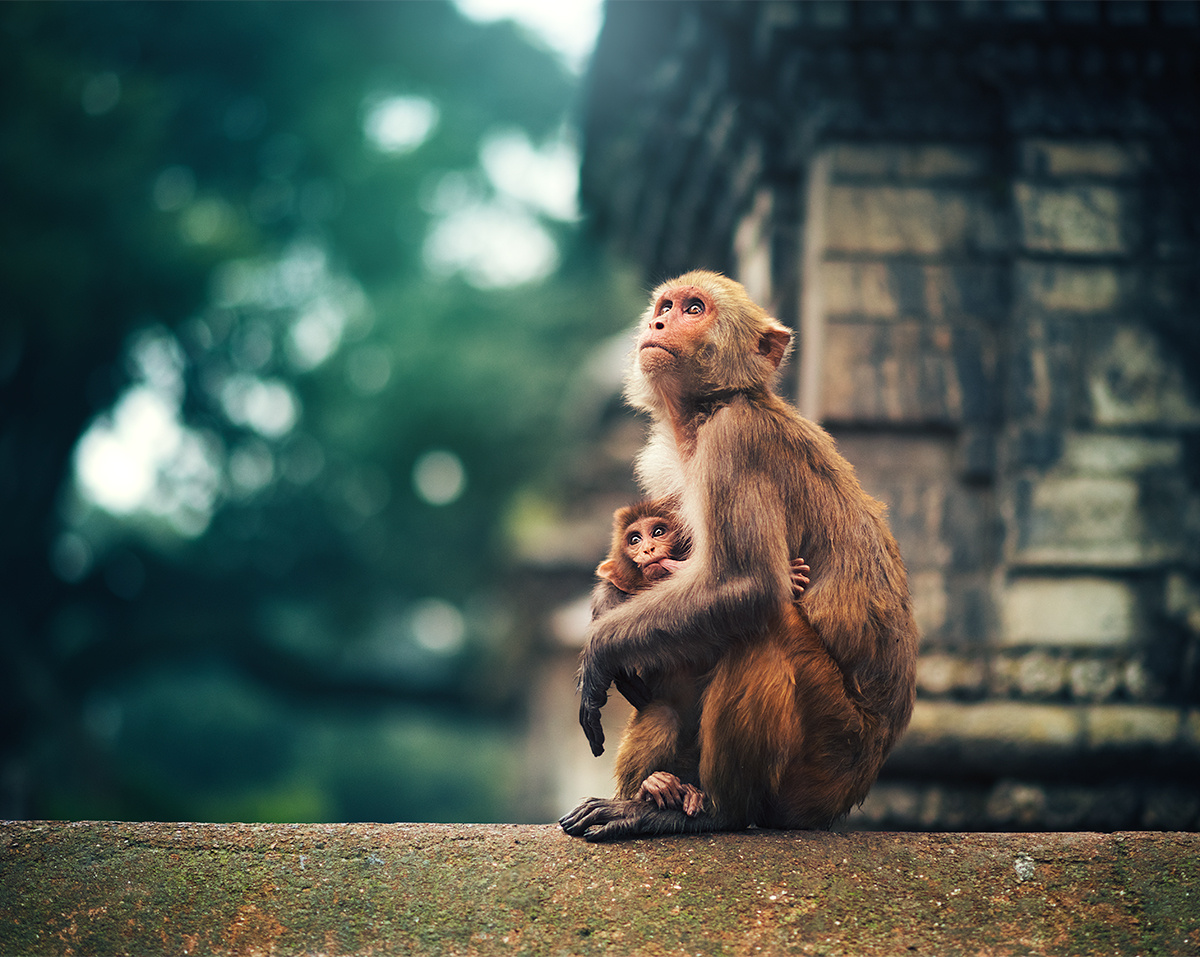 Protected - Ashraful Arefin on Fstoppers