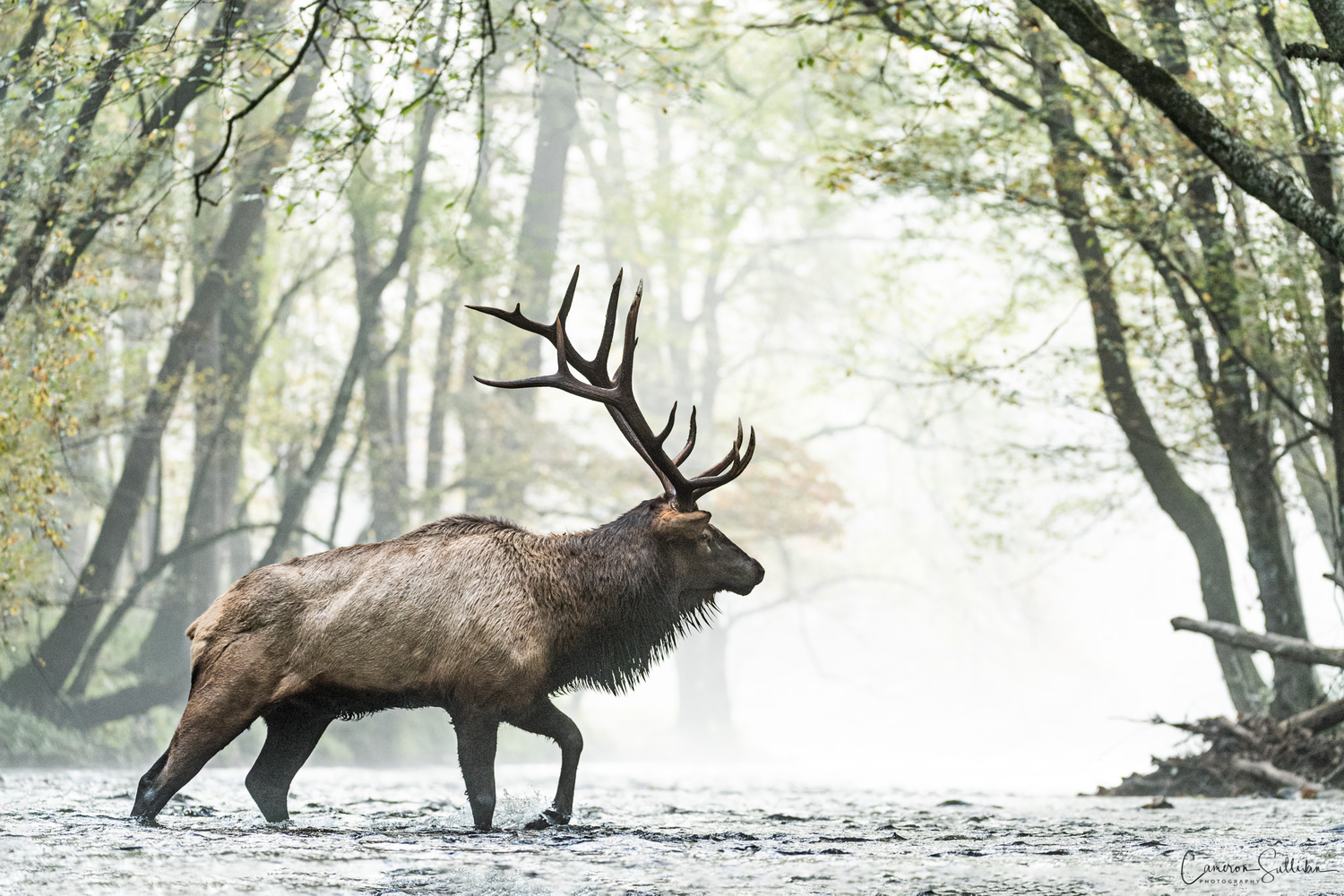 The Challenger - Cameron Sullivan on Fstoppers