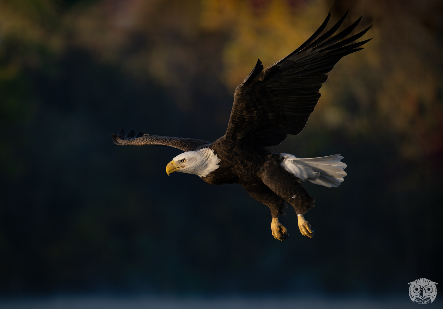 Gliding into the sunlight - Cameron Sullivan on Fstoppers