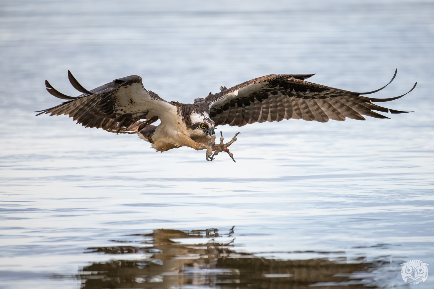 Stay on Target - Cameron Sullivan on Fstoppers