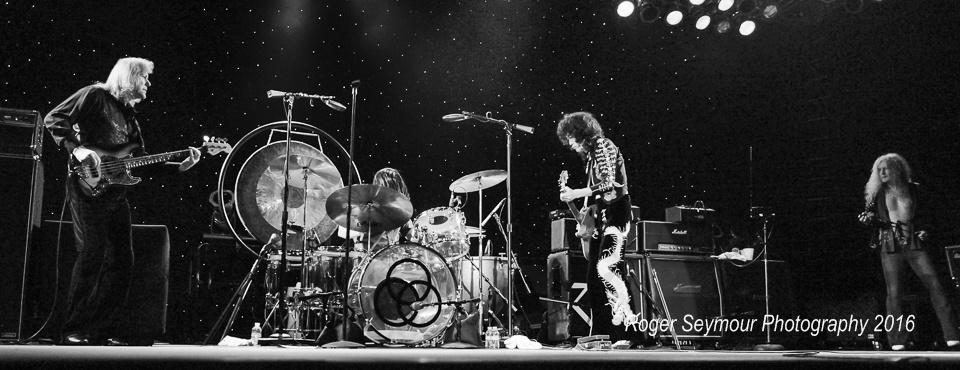 As Close to the Real Thing ??? - Roger Seymour on Fstoppers