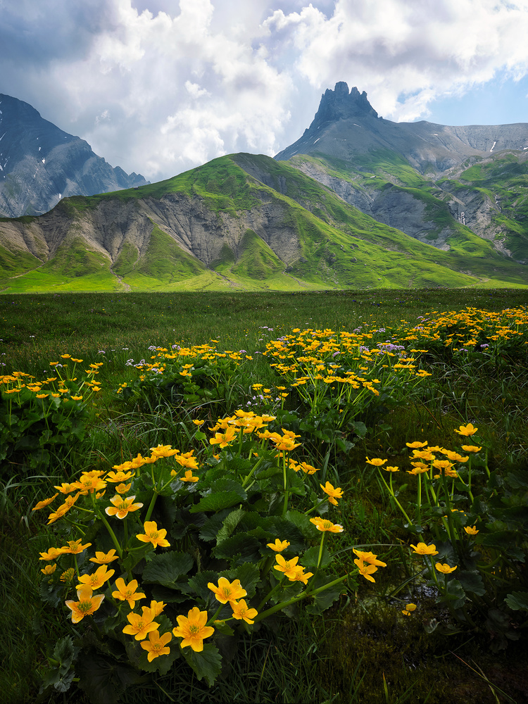 Yellow Path - Lionel Fellay on Fstoppers