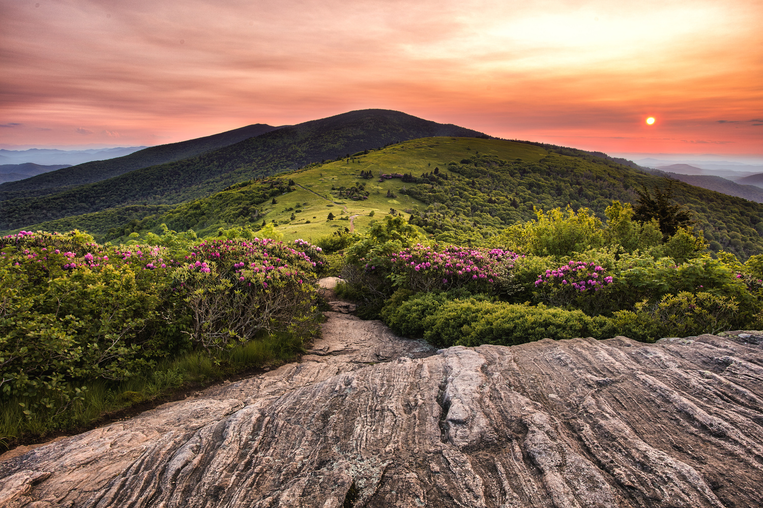 Roan Mountain Sunset - Josh Tullock on Fstoppers