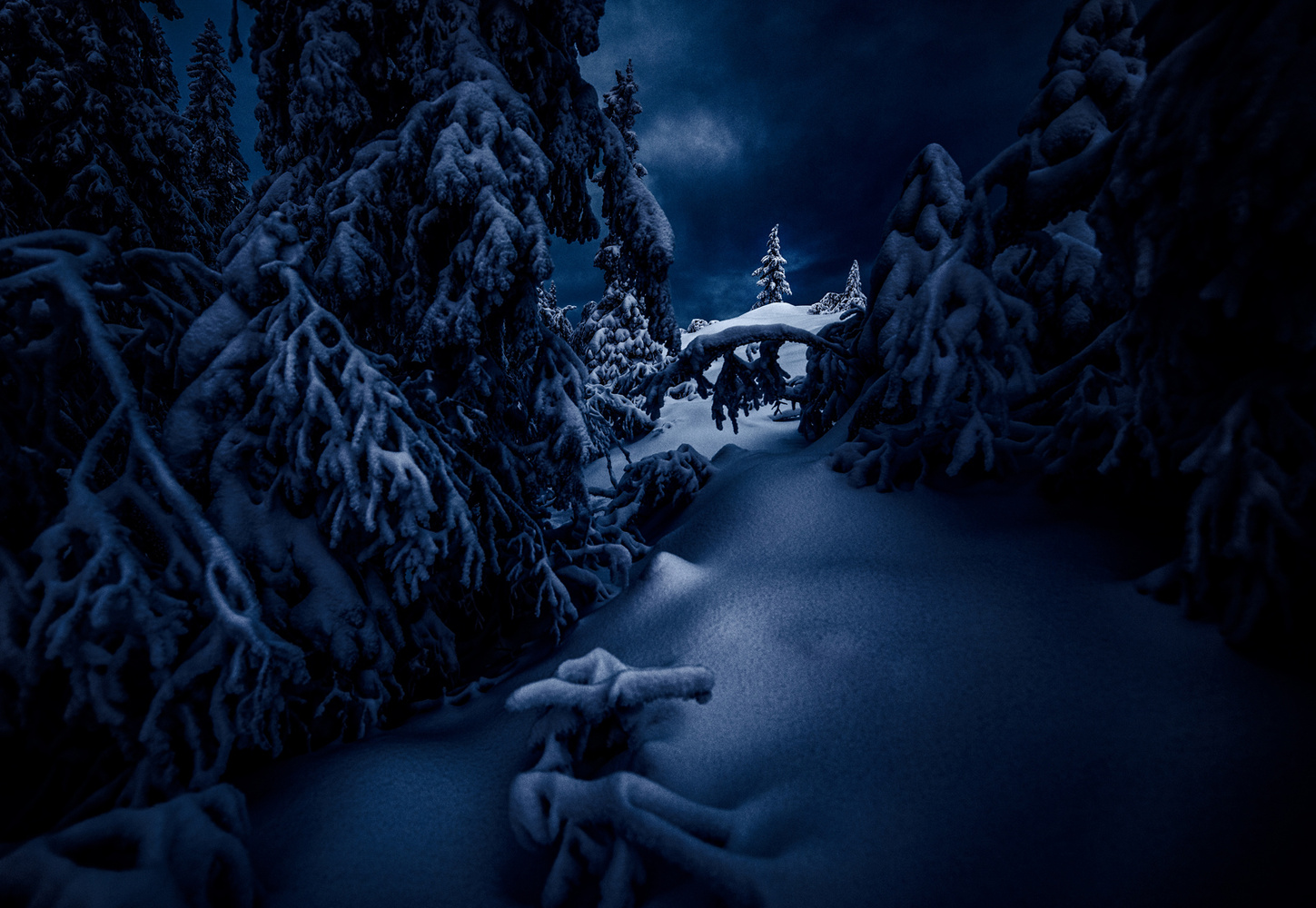 Winter Morning by Alexander Jonsaas | Fstoppers