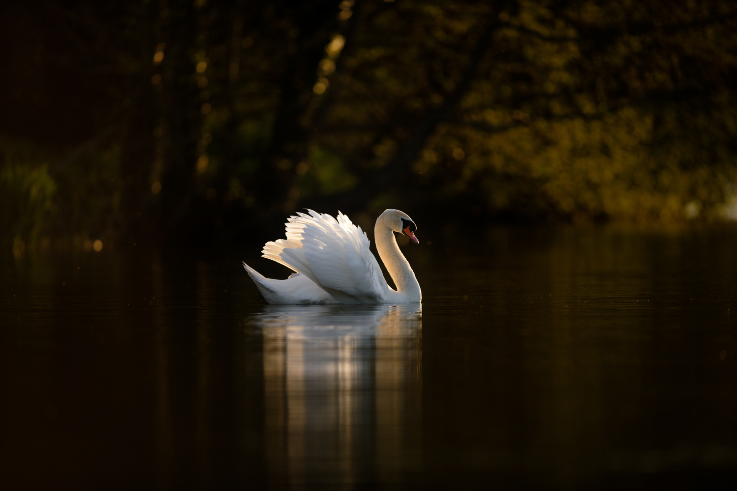 'Perfect Evening' - Jonathan Casey on Fstoppers