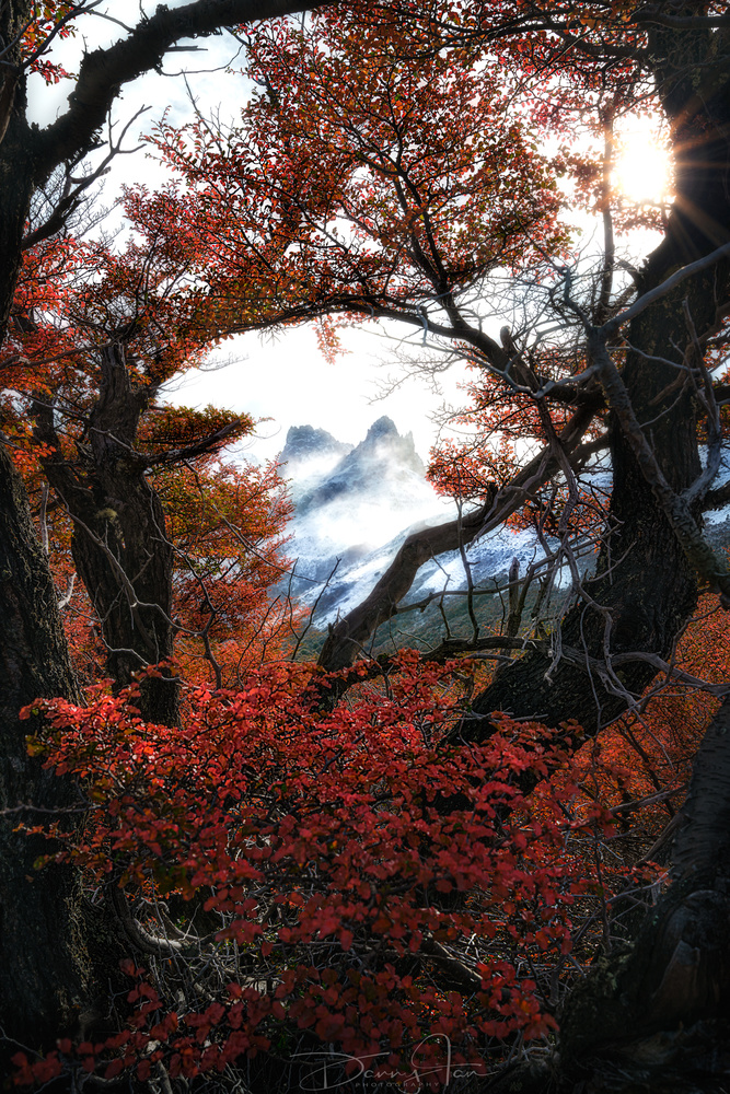 Autumn Frame - Danny Tan on Fstoppers