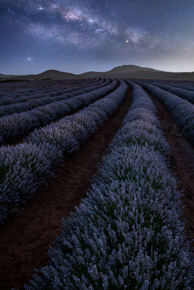 Midnight blues by Danny Tan | Fstoppers