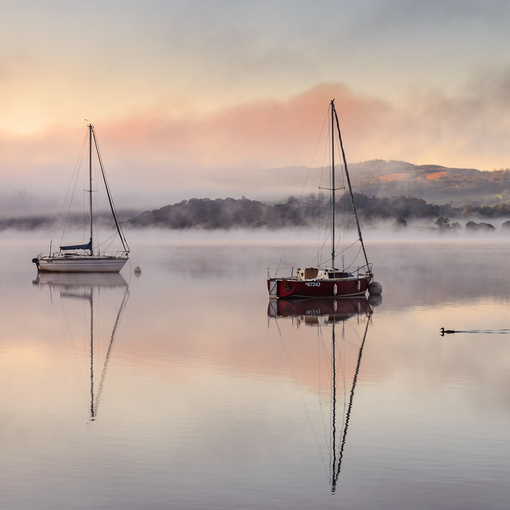 Soft Light Contest Entry by chris bryant | Fstoppers