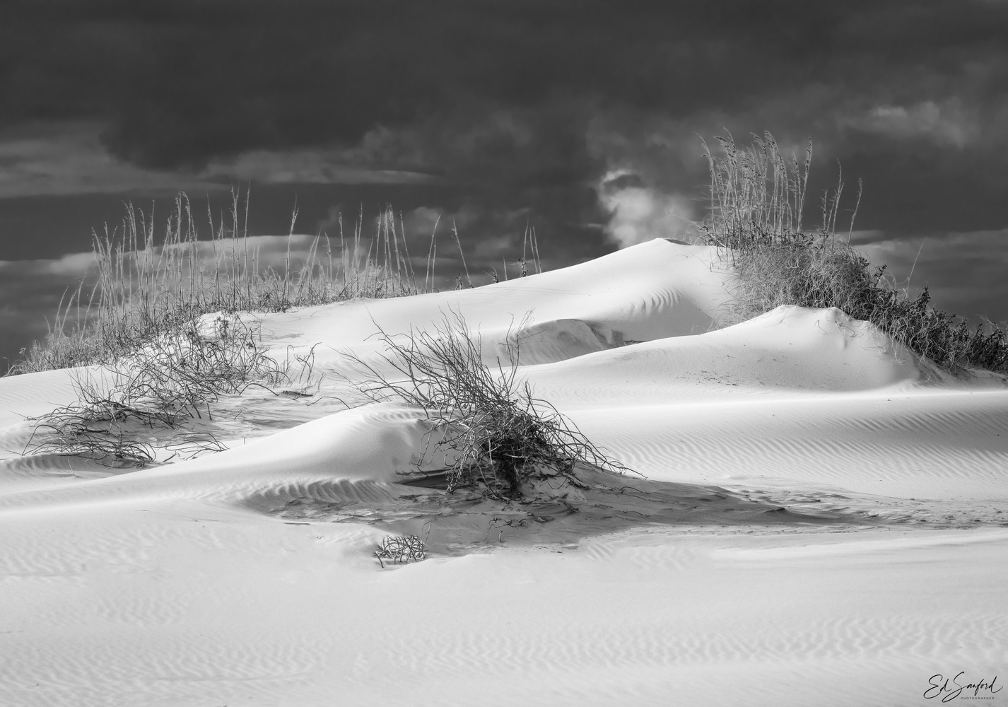 Sand Dunes, Pea Island - Ed Sanford on Fstoppers