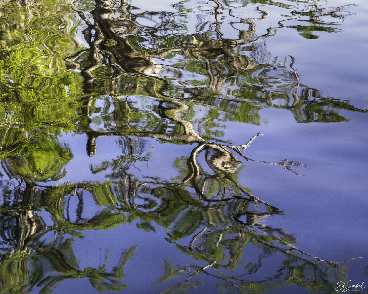 Reflections of Spring - Ed Sanford on Fstoppers