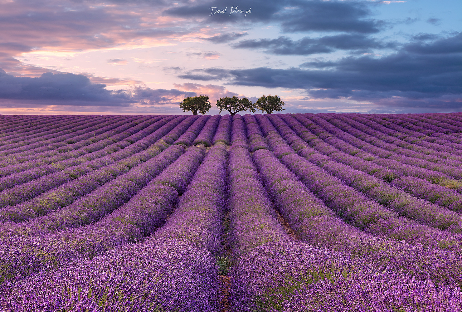 The violet city - Daniel Maran on Fstoppers