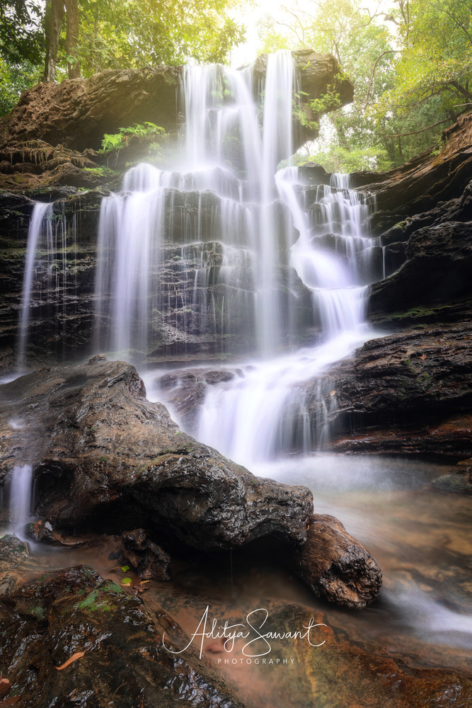 Wild and Beautiful. - Aditya Anant Sawant on Fstoppers
