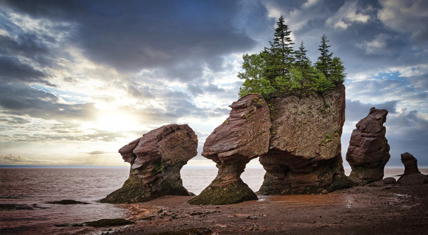 Stranded Menagerie - Timothy Princehorn on Fstoppers