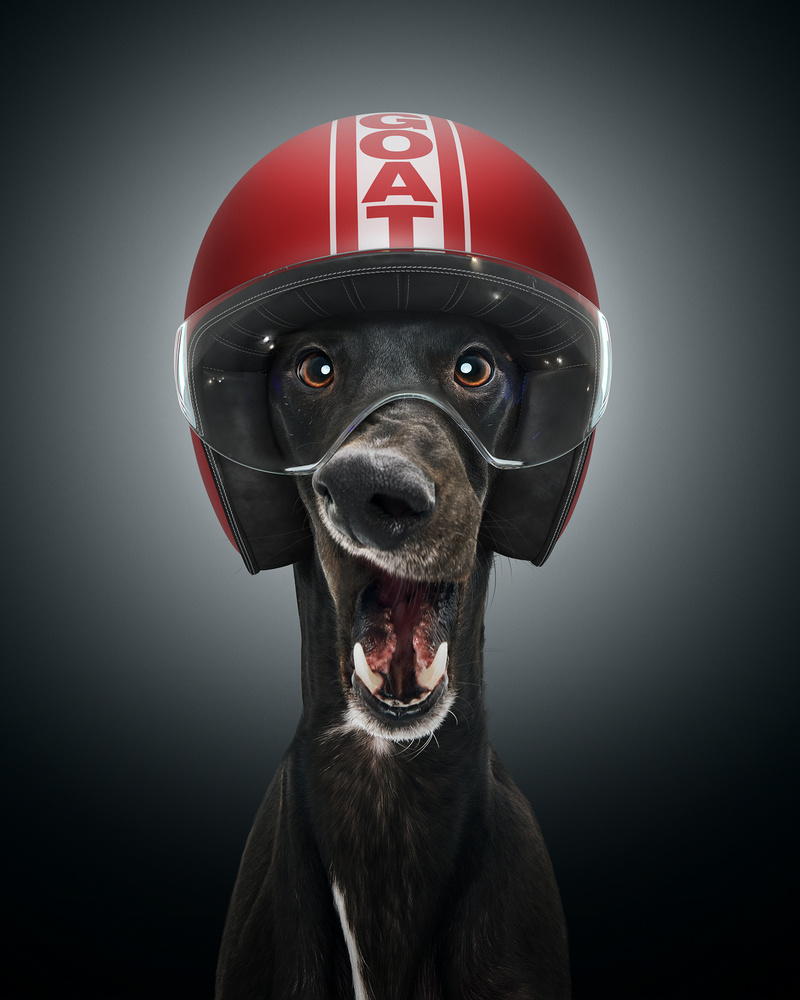 Fast & Curious: Greyhound - Alexander Khokhlov on Fstoppers